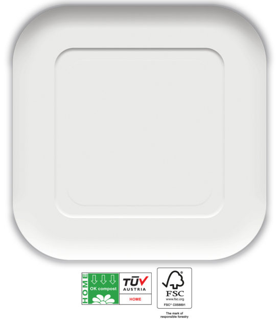 White Compostable Products - Home Compostable White Square Paper Plates ...